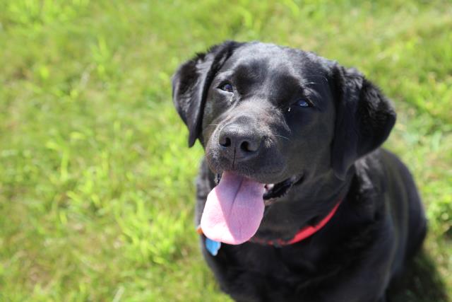 Senator Collins Tuesday Report